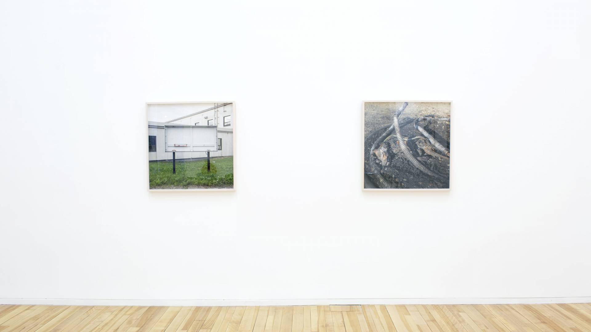 Nicolaus Schafhausen — Tanea Hynes & Ethan Murphy. The Shape of Desire ...